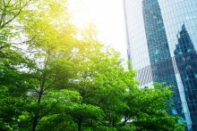 Gini ist aus der Flasche | AXA IM CH